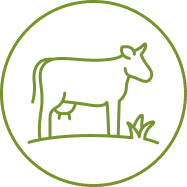 Jivika Organics - Natural & Healthy Food Products